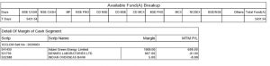 What is a Daily Margin Statement and How to Read it?