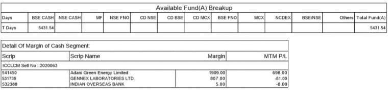 What is a Daily Margin Statement and How to Read it?